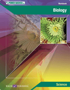 Power Basics | BW Walch